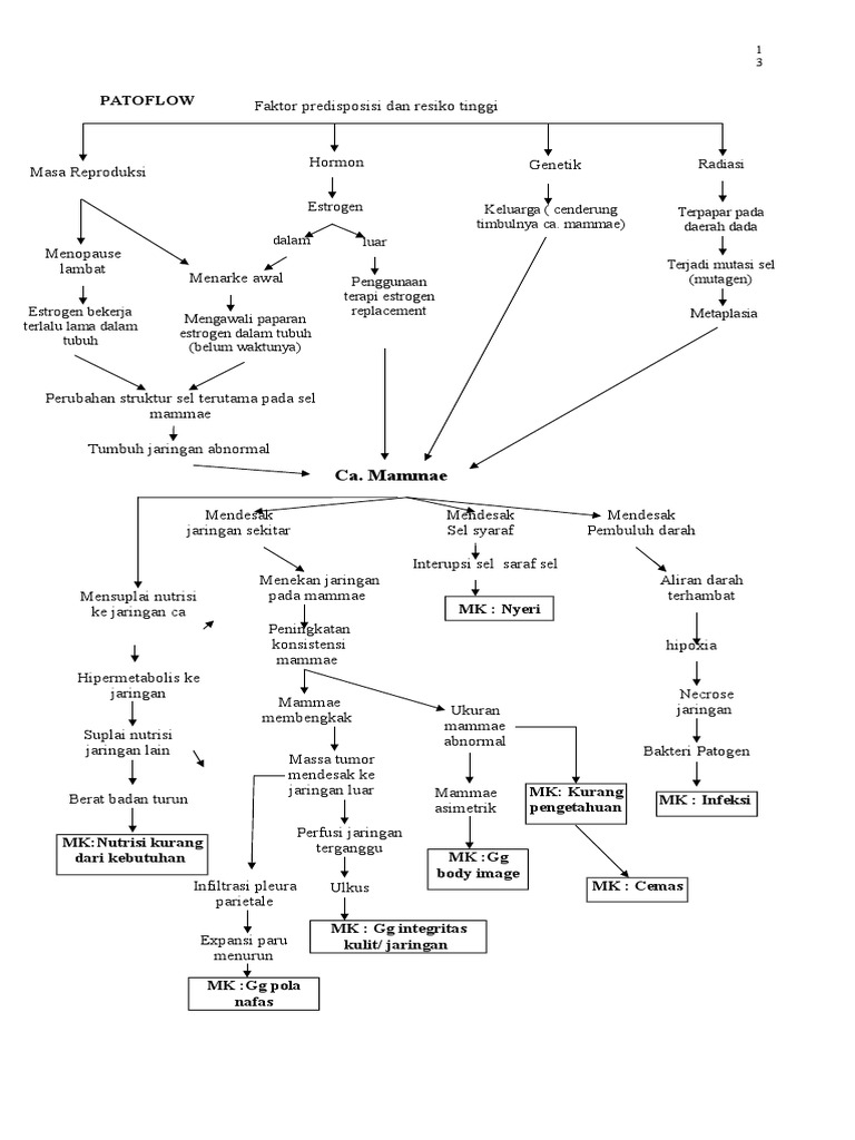 Patoflow Kanker Payudara | PDF