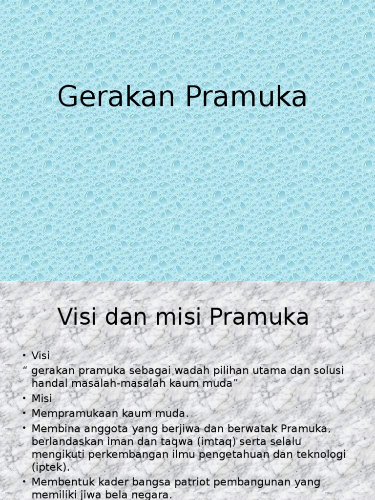 Visi Dan Misi Pramuka | PDF