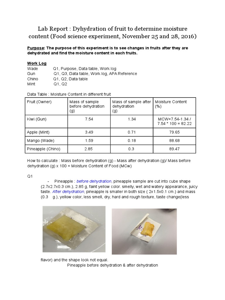 Lab Report: Dyhydration of Fruit To Determine Moisture Content (Food ...