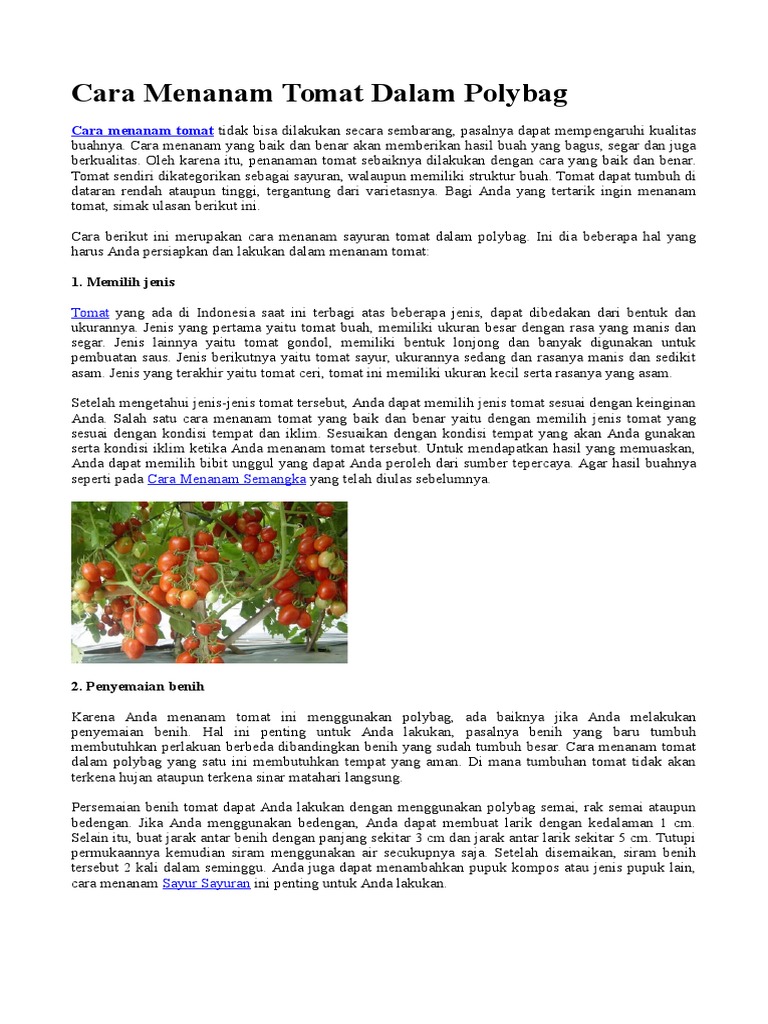 Cara Menanam Tomat Dalam Polybag | PDF