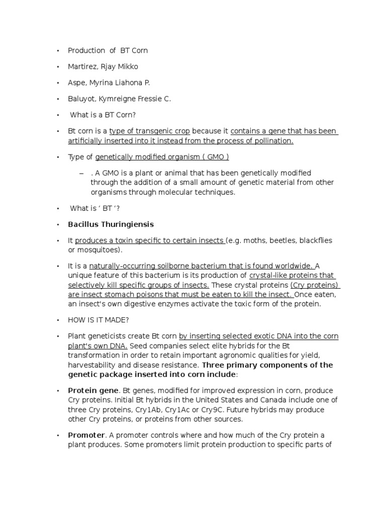 Production of BT Corn | PDF | Genetically Modified Organism | Plant ...