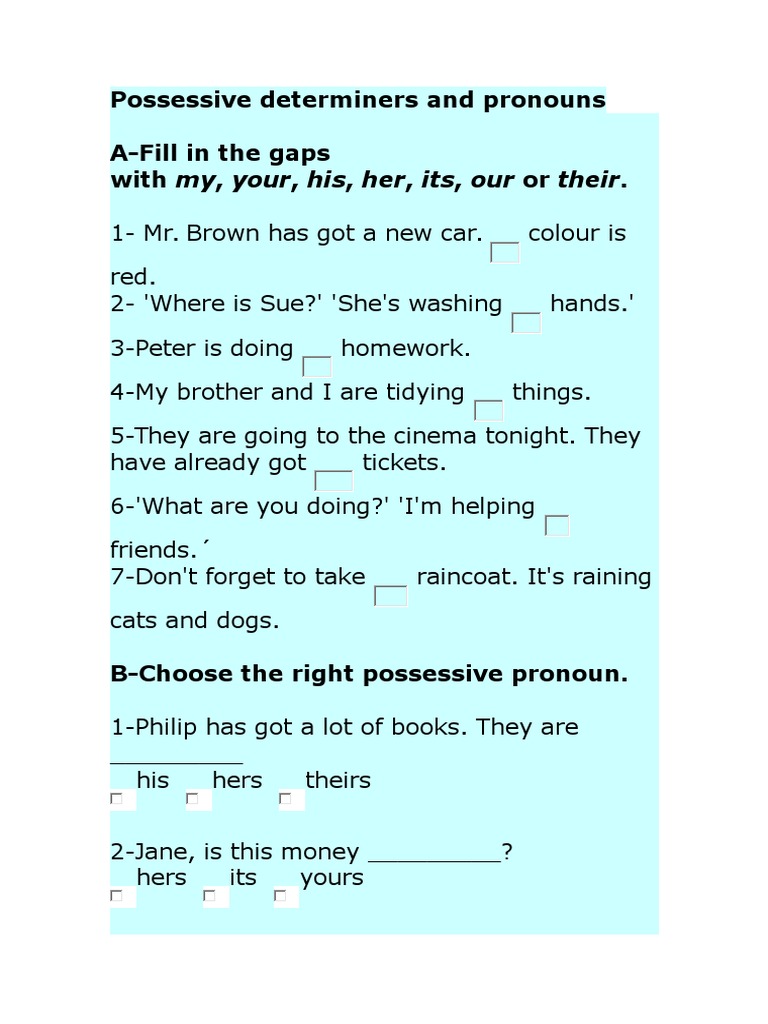 Possessive Determiners and Pronouns | PDF