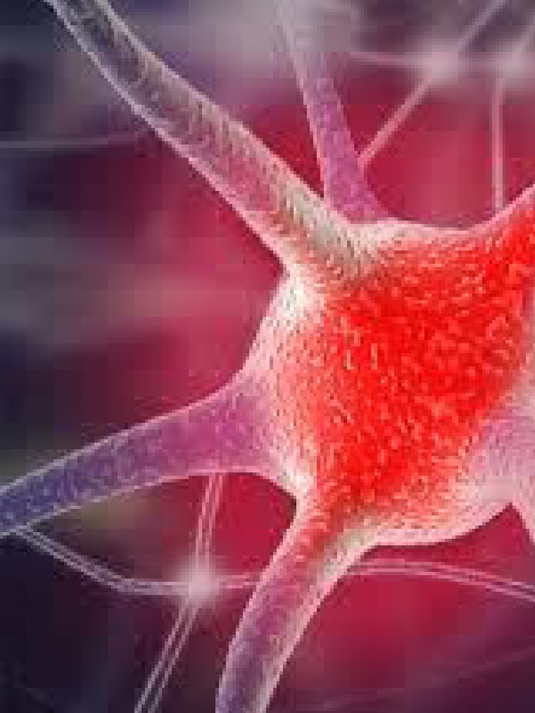 Proposal Klinik Fisioterapi Neurologi | PDF