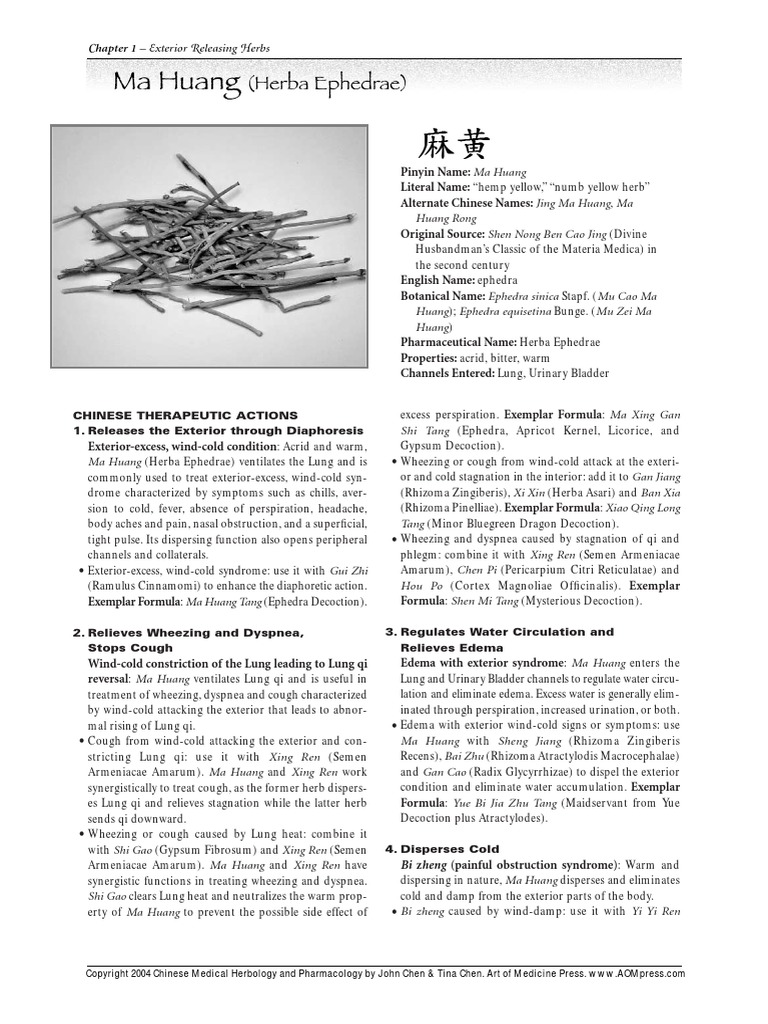 Ma Huang | PDF | Pharmacology | Medicine