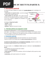 Anatomie des anses grêles et mésentère | PDF | Péritoine | Spécialités ...