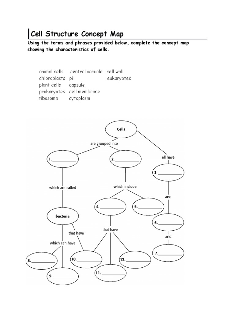 Cell Structure Concept Map | PDF