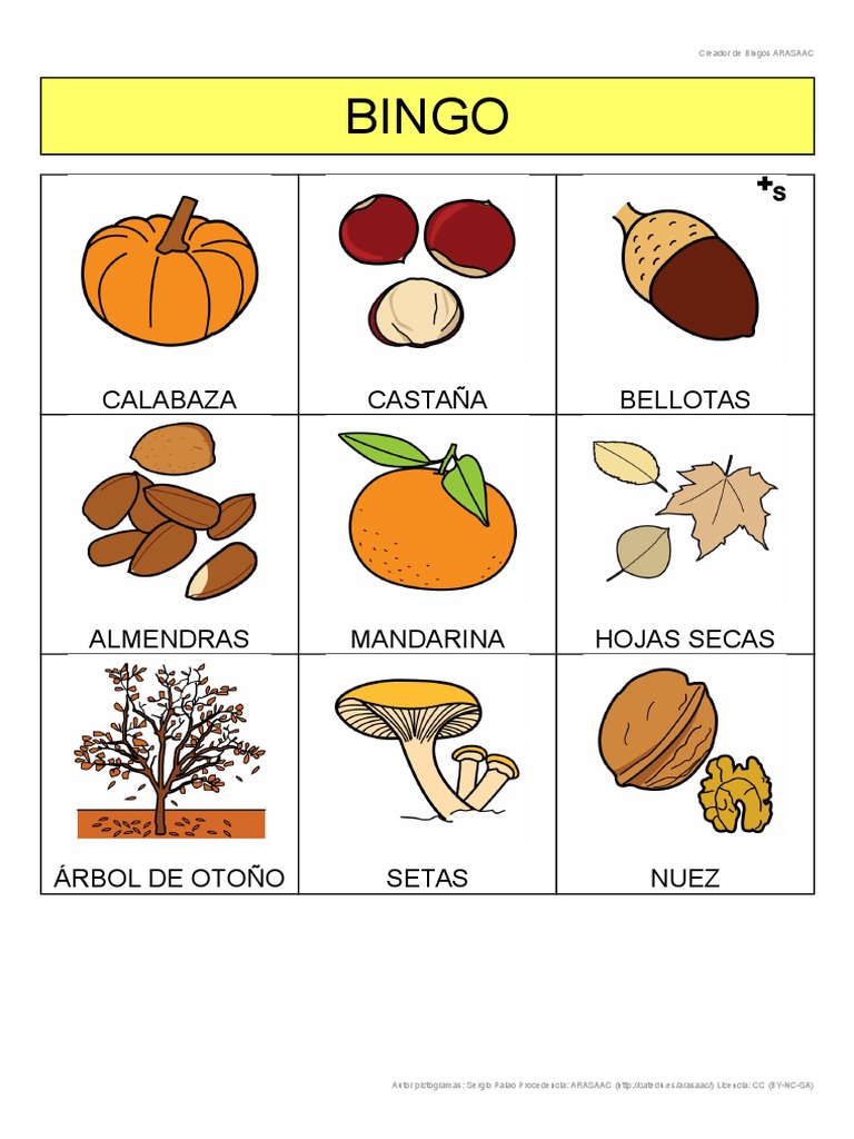 bingo (1) otoño 3