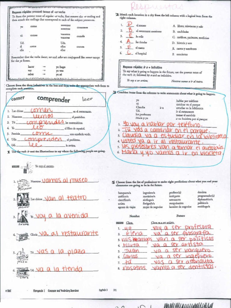 Study Guide Chapter 3b - Answers | PDF