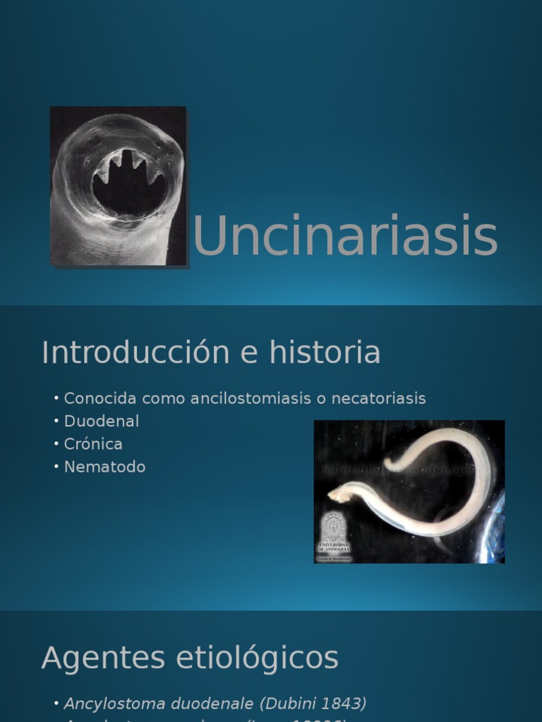 Uncinariasis | PDF | Especialidades Medicas | Enfermedades y trastornos