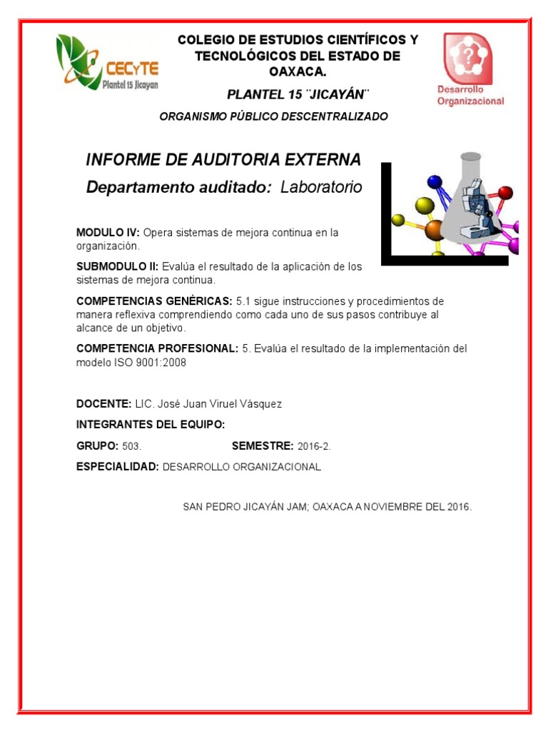 Reporte Final (INFORME DE AUDITORIA EXTERNA)
