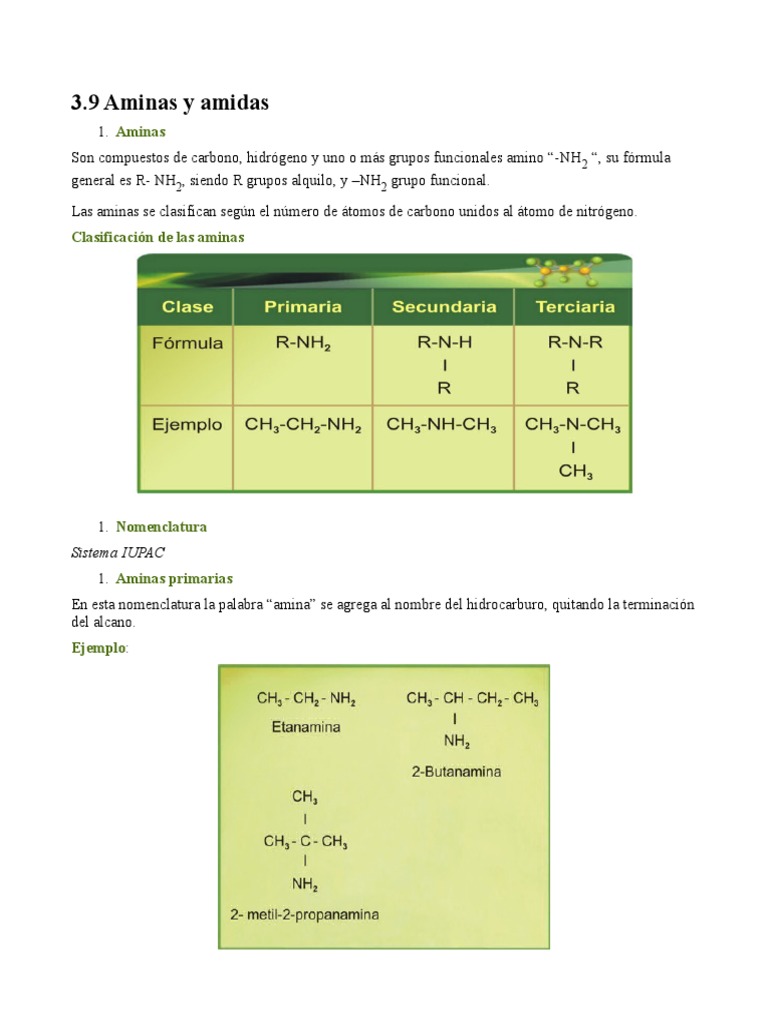 Aminas | PDF | Amina | Amida