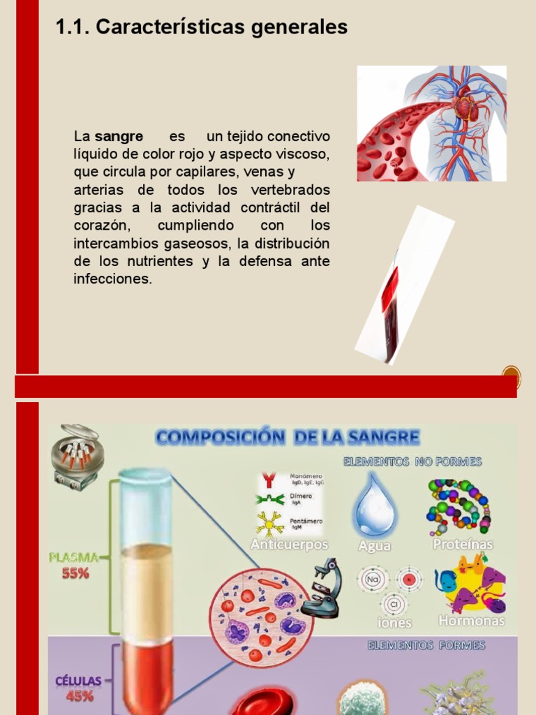 Características de La Sangre | PDF | Sangre | Leucocito