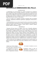 Desarrollo embrionario del pollo | PDF | Embrión | Huevo