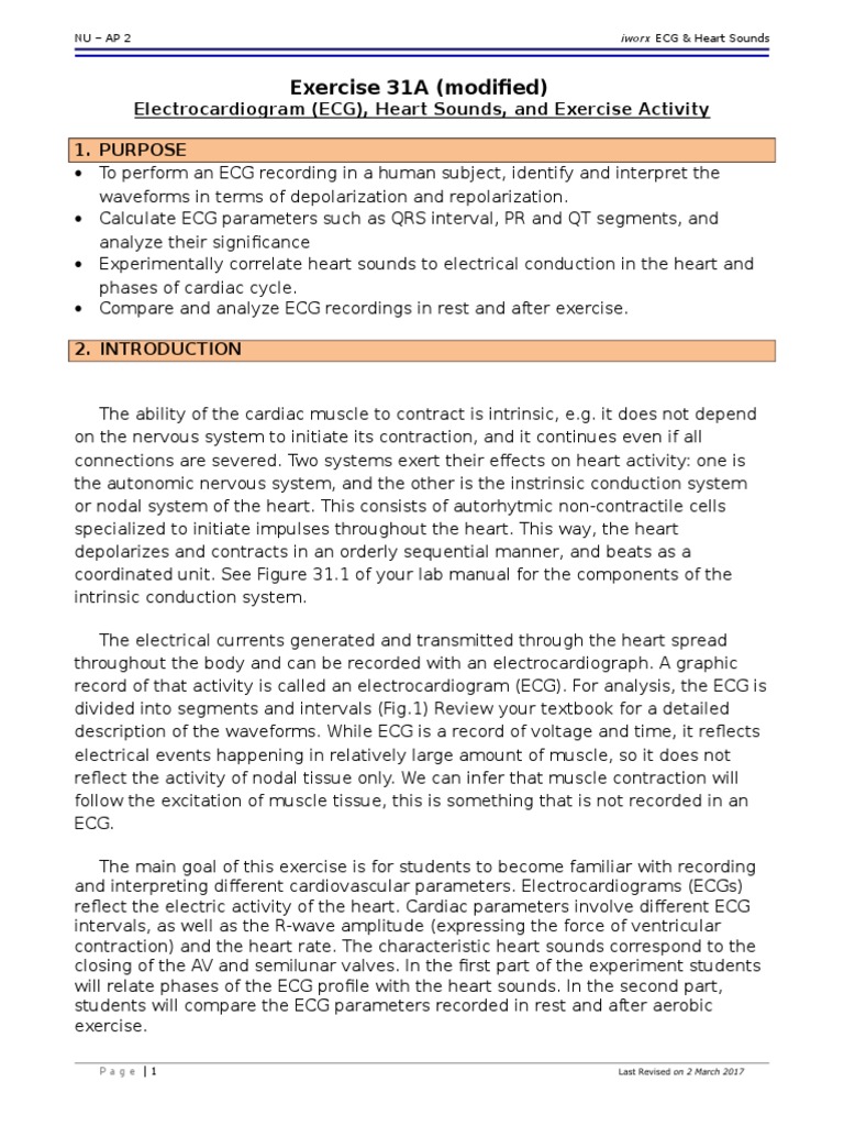 Exercise 31A (Modified) : Electrocardiogram (ECG), Heart Sounds, and ...