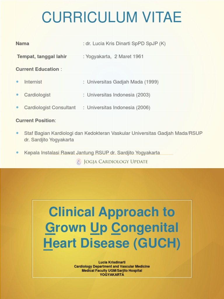 Simposium Iii. 2. Guch. Dr. L. Krisdinarti SPPD SPJPK PDF | PDF ...