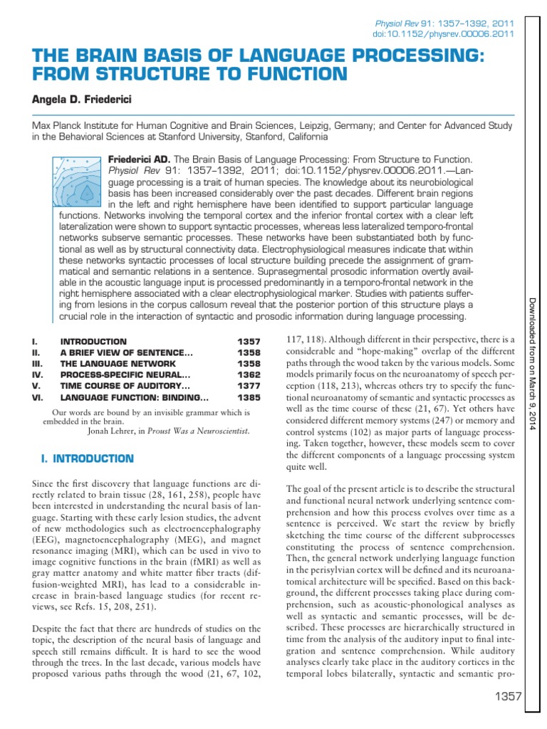 The Brain Basis of Language Processing | PDF | Cerebral Cortex ...