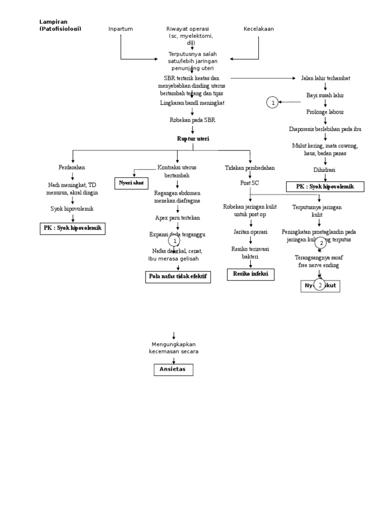 Patofisiologi Ruptur Uteri | PDF
