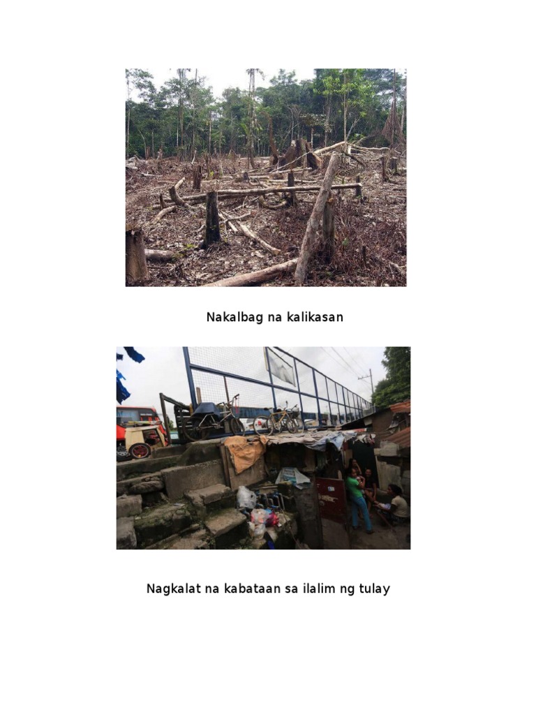 Aral - Pan Grade 5 | PDF