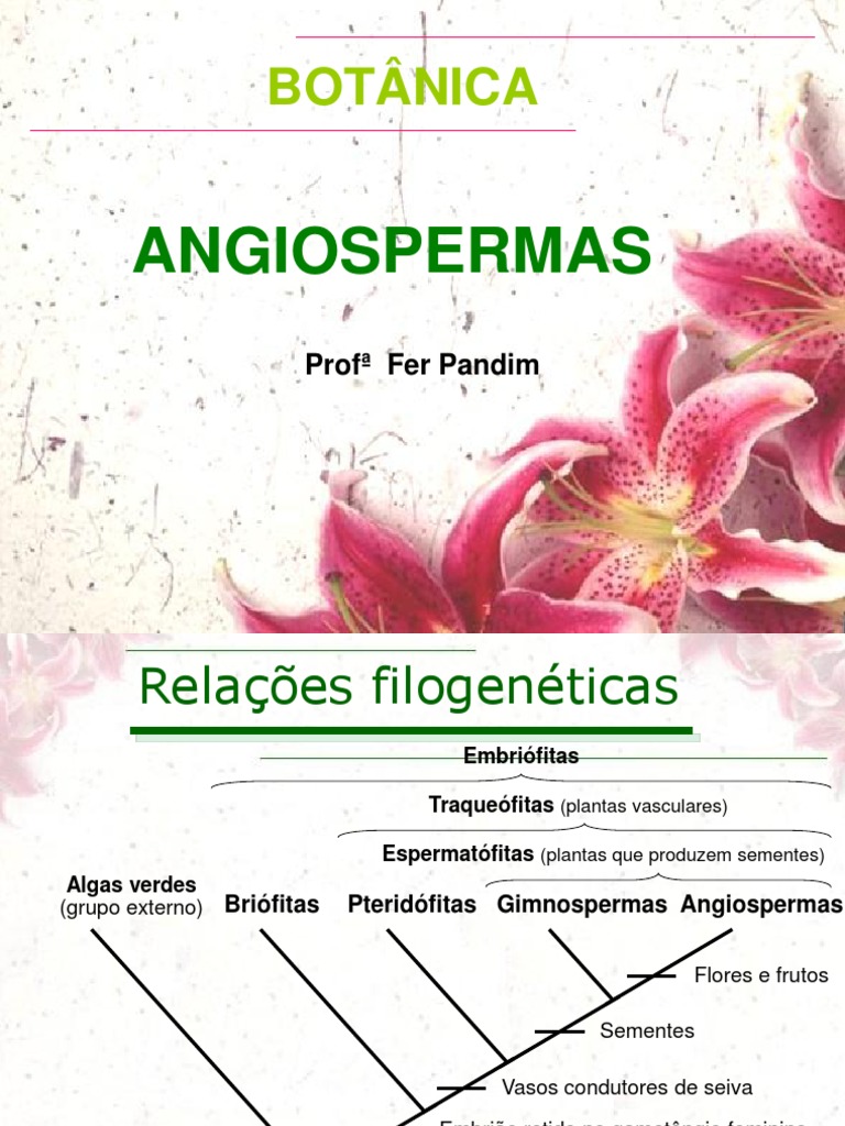 Angiospermas | PDF | Semente | Flores