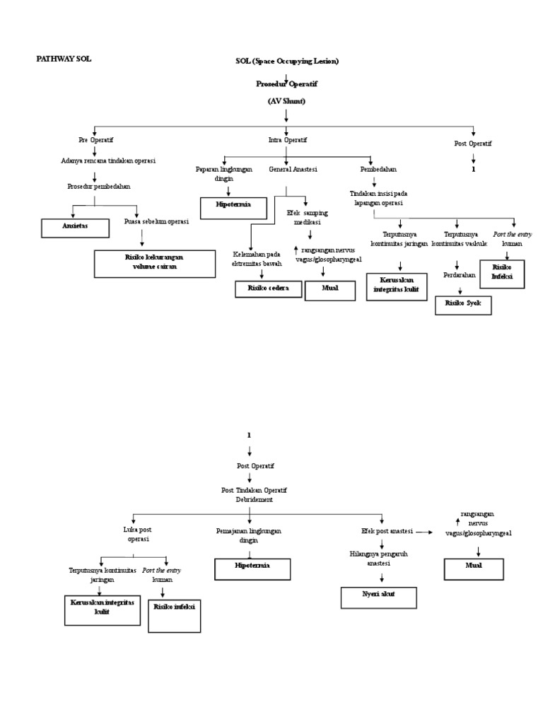 Pathway Pemulihan Pasca Operasi Hernia | PDF