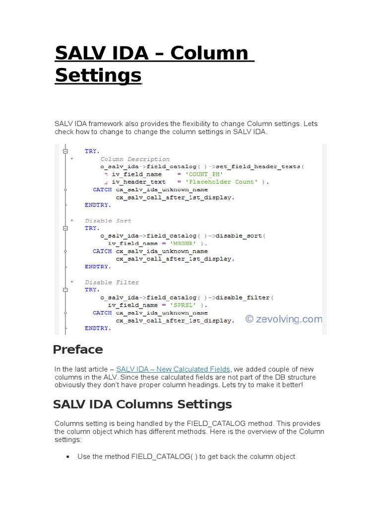 SALV IDA - Column Settings | PDF | Computer Programming | Computing