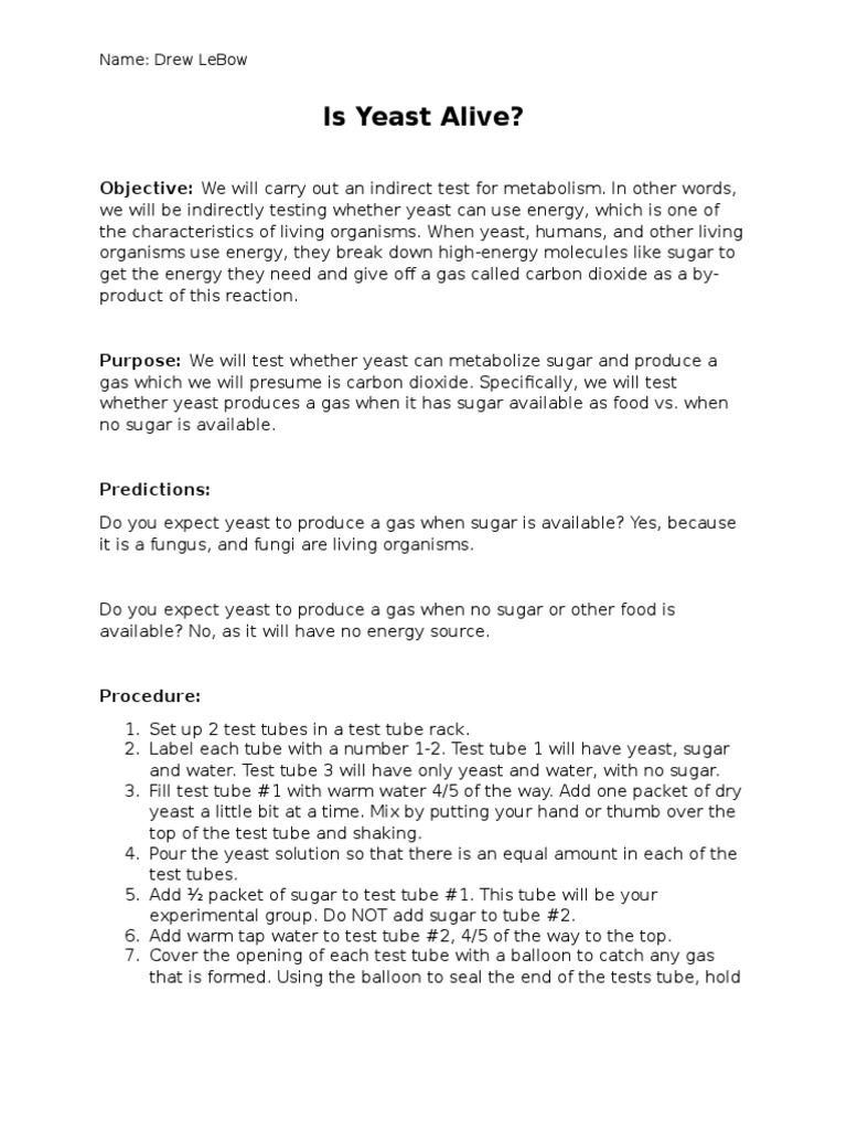 Yeast Fermentation Lab Learning Outcome | PDF | Yeast | Breads