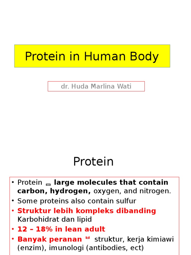 Protein in Human Body | PDF