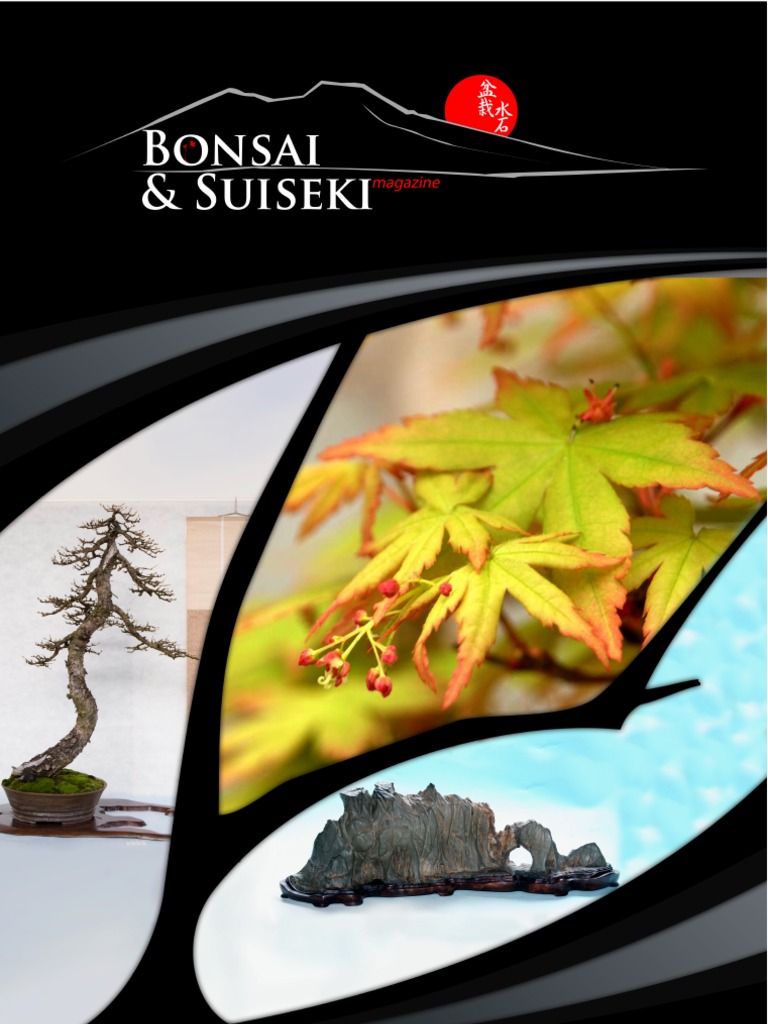 Bonsai Suiseki Magazine Nº3 Março 2010 | PDF | Bonsai | Italy
