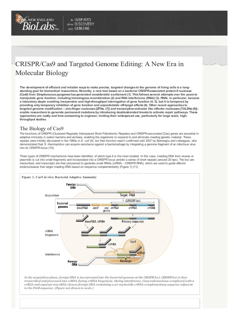 Crispr Cas9 and Targeted Genome Editing | PDF | Crispr | Macromolecules