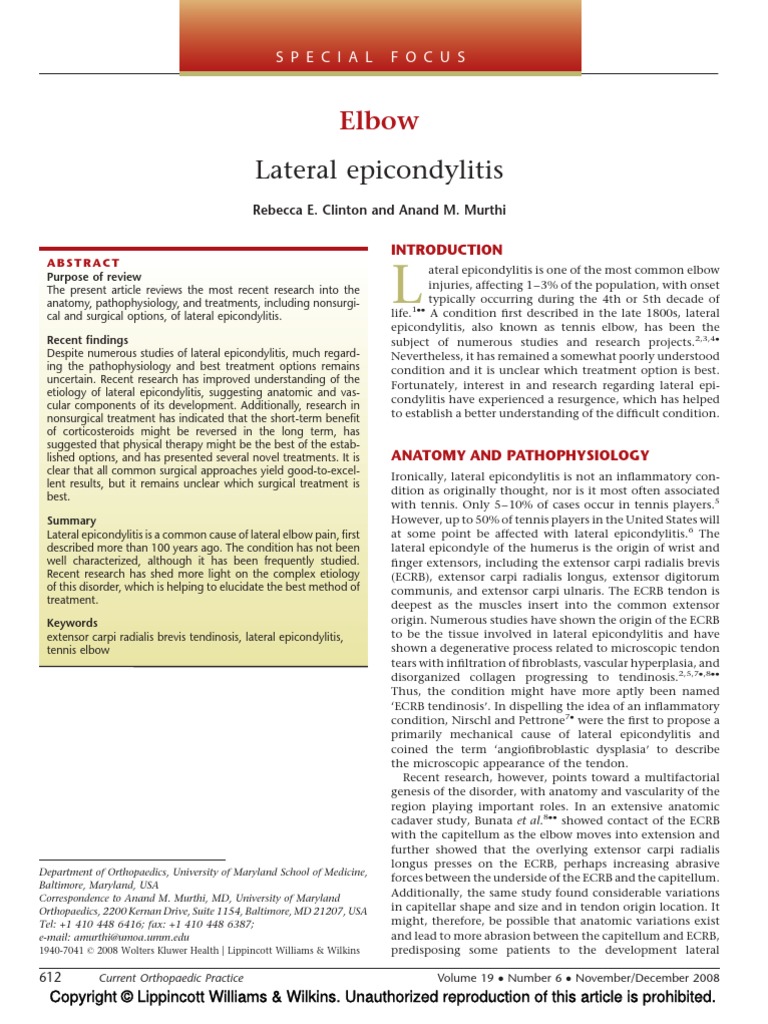 Epic Lateral Atual | PDF | Musculoskeletal System | Medicine