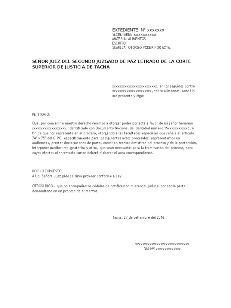 Poder Por Acta | PDF