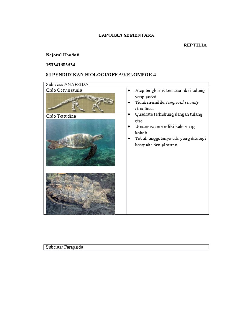 Klasifikasi dan Ciri Reptilia | PDF