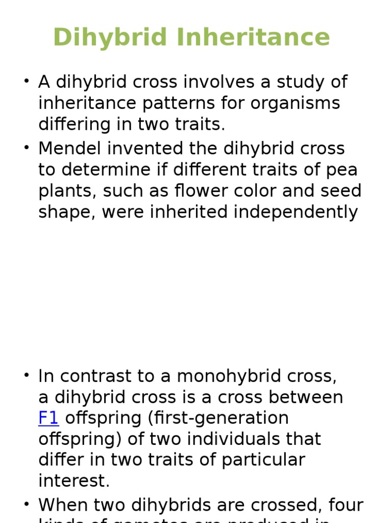Dihybrid Inheritance Explained | PDF | Dominance (Genetics) | Genetics