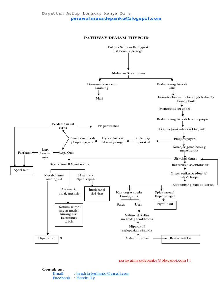 Pathway-Demam-Thypoid.pdf