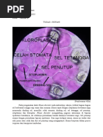 Pengamatan Sel Gabus Singkong | PDF | Griya & Taman