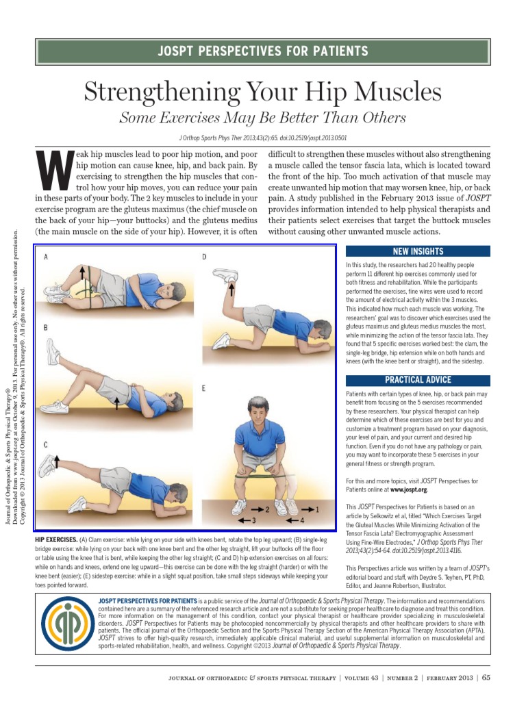 JOSPT - Patient Perspective - February 2013 | PDF | Physical Therapy ...