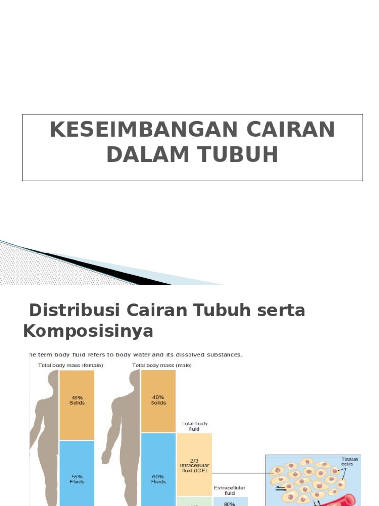 Keseimbangan Cairan Dalam Tubuh | PDF