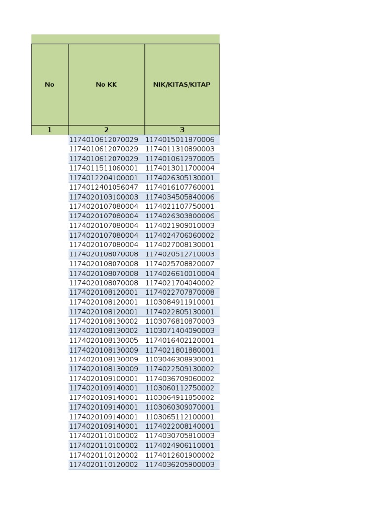 No No KK NIK KITAS KITAP Numbers | PDF