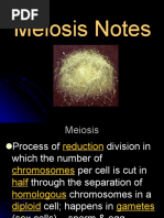 Video Recap of Meiosis by Amoeba Sisters Updated Pictures | PDF | Meiosis | Chromosome