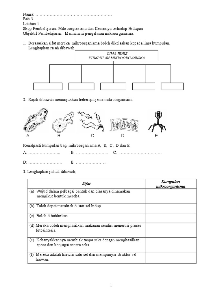 Latihan Sains Bab 3 Tahun 6 | PDF