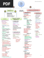 Aerobic Gram Negative Rods Flowchart 508 | PDF | Gram Negative Bacteria ...