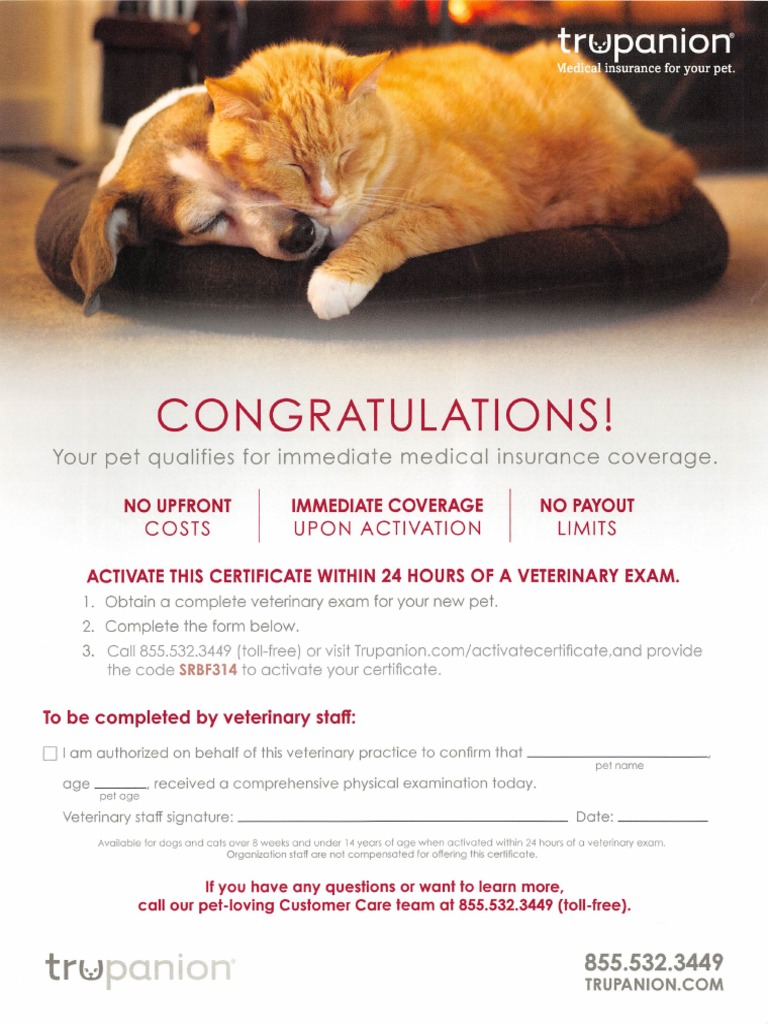 Trupanion Big Fluffy Dog Rescue Certificate PDF