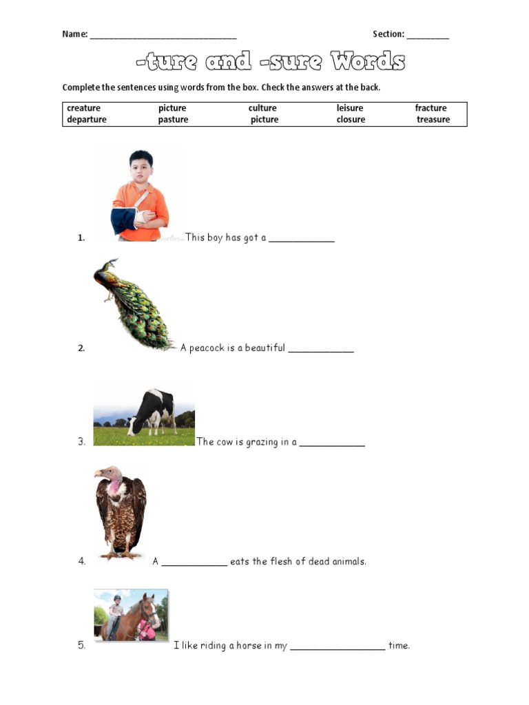 Ture Sure Words Woksheet1 | PDF