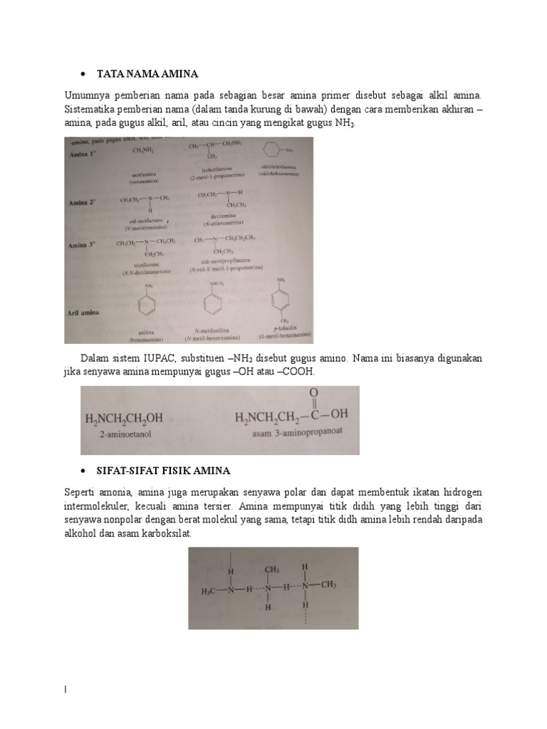 Sifat dan Pembuatan Amina Tersier | PDF
