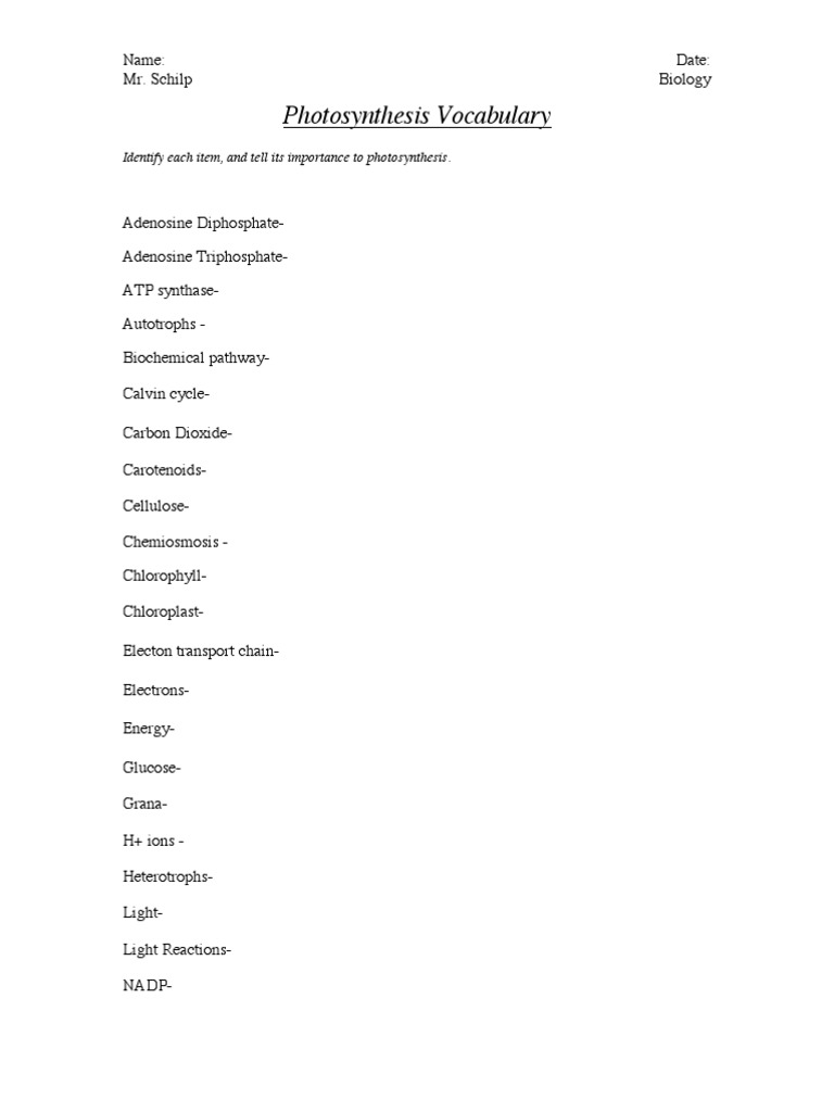 ACC Photosynthesis Vocabulary | PDF