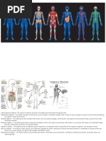 CDM 2015 - Compliance Checklist | PDF | Policy | Government Information