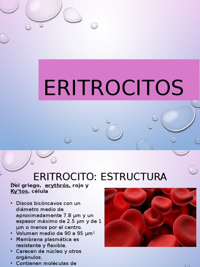 Eritrocitos y Hemoglobina | PDF | Glóbulo rojo | Membrana celular