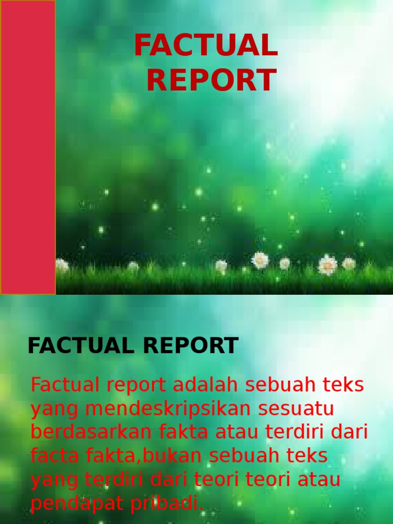 Factual Report | PDF | Dolphin | Grammar