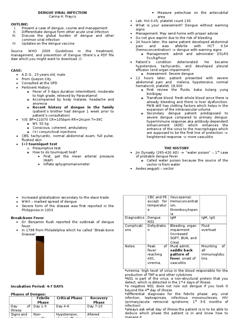 Dengue Fever Report | PDF | Vaccines | Diseases And Disorders
