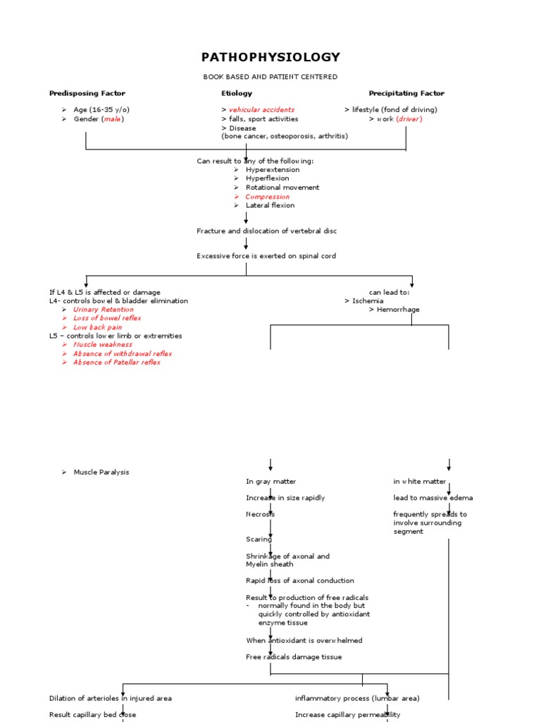 Pathophysiology: Predisposing Factor Etiology Precipitating Factor | PDF